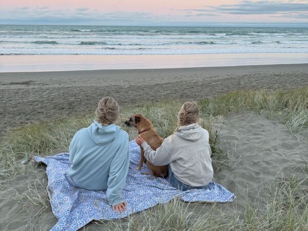 Wire Furniture & Homewares - NZ Handcrafted Furniture - Ico Traders